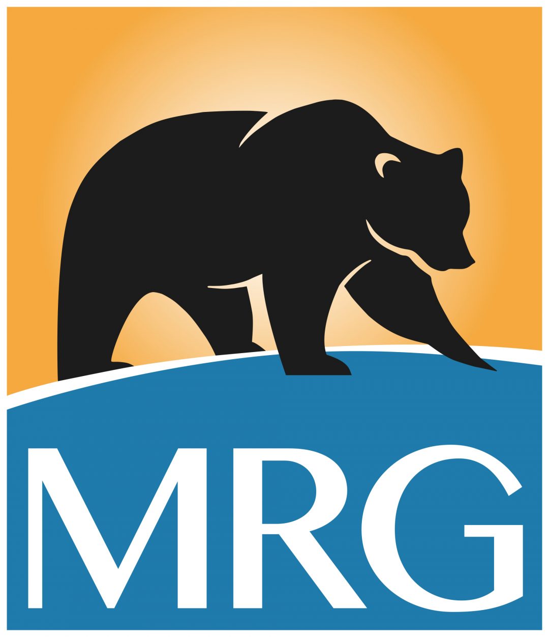 Patty Kong C P A MRG LLC patty-kong-c-p-a-mrg-llc